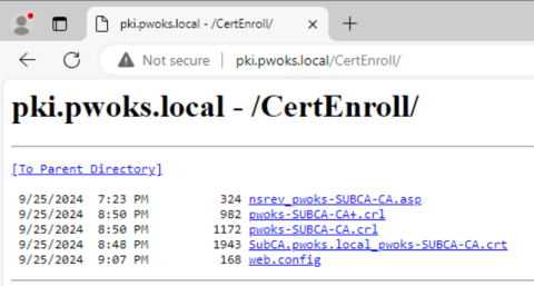 Implementing Two-Tier PKI on Windows Server 2022 - Part 2 - Professional Works of Kadir SARIASLAN